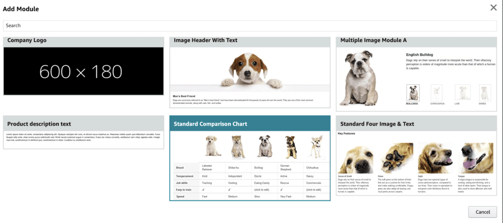 How to Create Amazon A+ Content - Guidelines & Examples