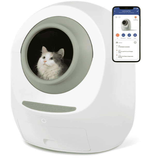 Amazon Market Watch: Pet Products & Tech Trends - Jungle Scout